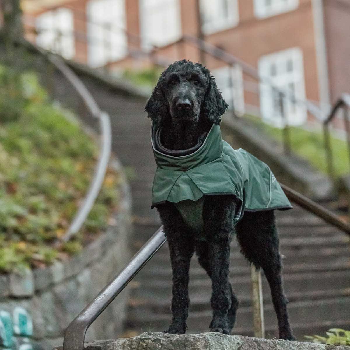 Explore Thermo Coat - with Harness Hole & Body-heat Reflective Lining