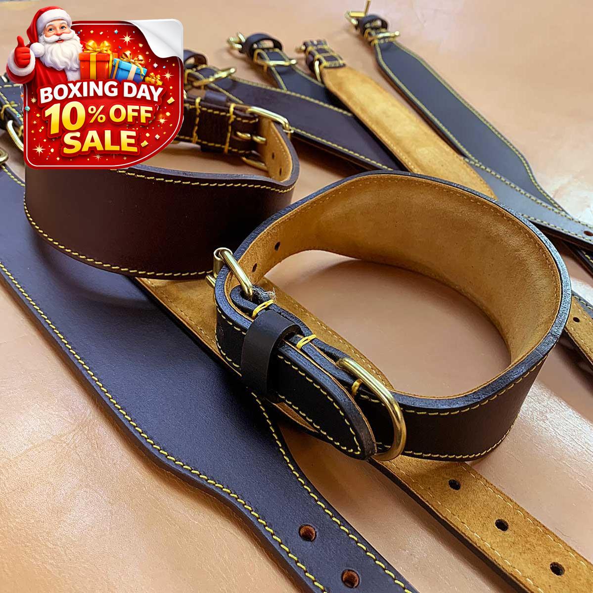 Heritage-&-Hound Fishtail Premium Padded Sighthound Leather Collars