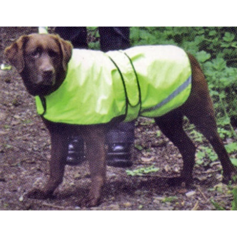 Unlined Hi-Vis Safety Dog Coat with Reflective Strips | DryDogs